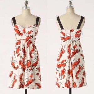 Dresses | Ohio State Dress | Poshmark